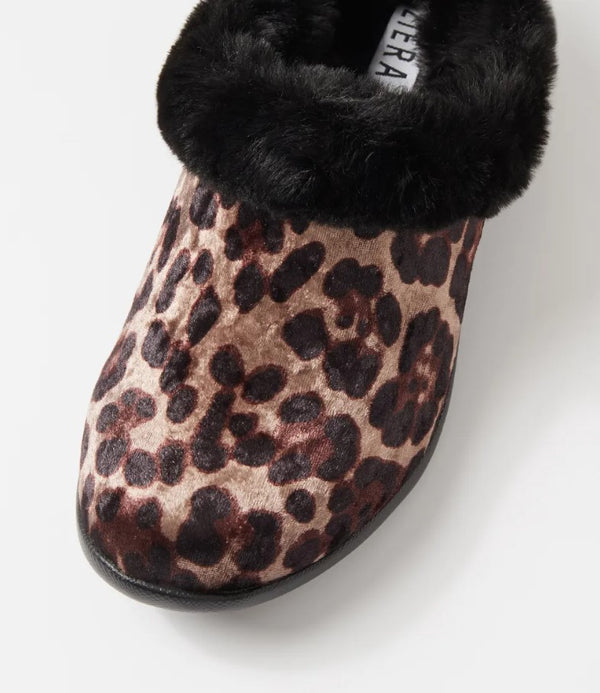 Ziera Fifi Leopard Slippers - Swank Shoes